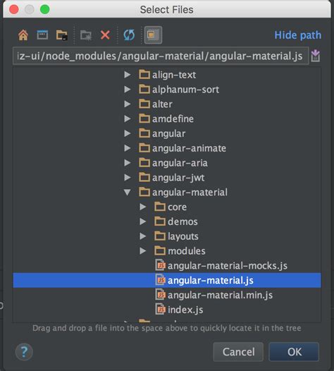 how do i teach webstorm 9 inspector to recognize angular