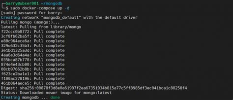 how to run mongodb as a docker container bmc blogs