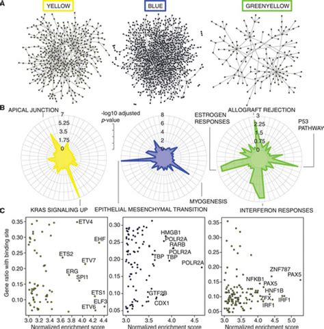 sex stratified gene regulatory networks reveal female key driver genes