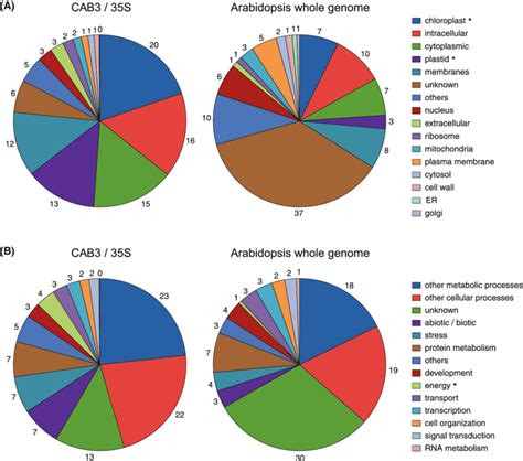Functional Categorization Of Differentially Expressed Genes In
