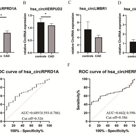Validation Of The Circrnas Expression And Identification The Potential