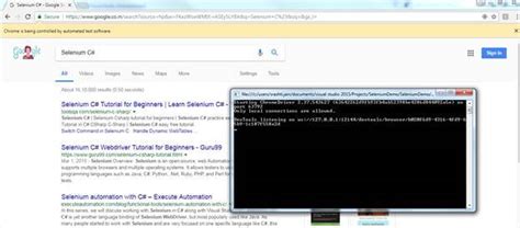 learn about selenium using c