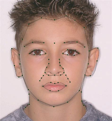 Figure 1 From Configuration Of Facial Features Influences Subjective
