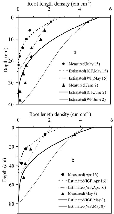 Comparison Of Experimental Data Of Root Length Density Distributions Of