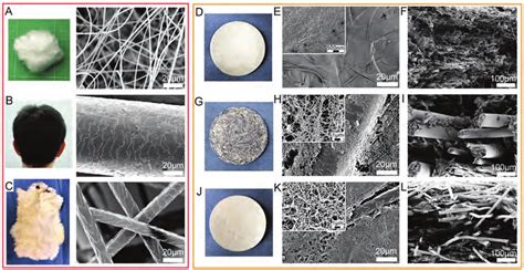 Morphological Characterization Of Fillers And Composite Aerogels A C