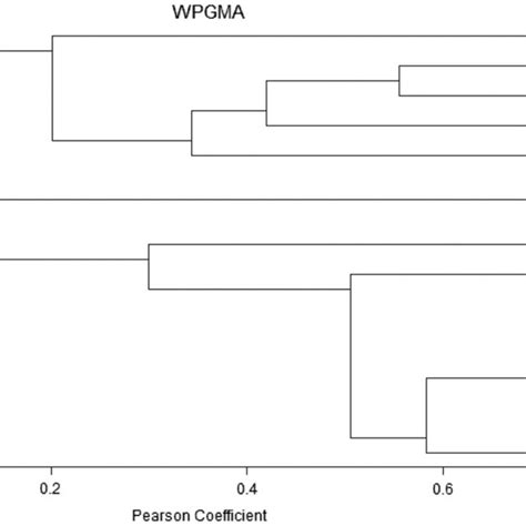 Dendrogram Illustrating Clustering Of Ptes Concentrations In Zahedan