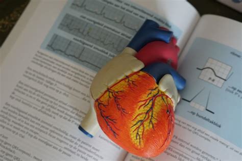 Five Facts About Heart Disease You Need To Know Arash Bereliani Md