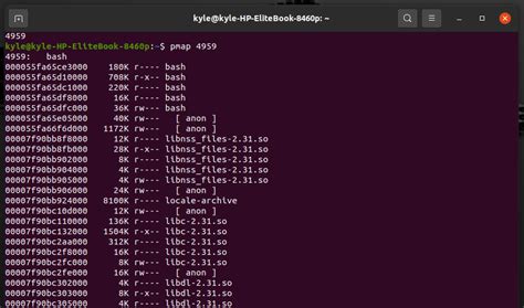 how to use the pmap linux command to check memory usage