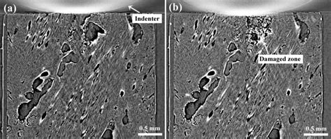 Vertical Slice Through The Tomographic Image Of The Sic Sic Composite