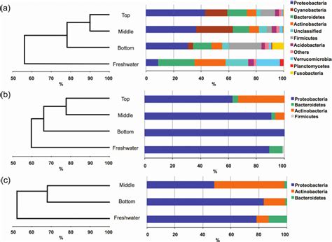 Dendrograms Based On The Bray Á Curtis Similarity Measure Showing The