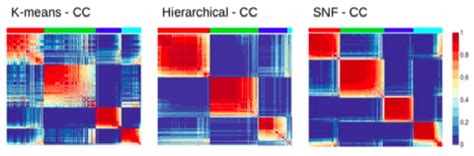 Consensus Matrix For Consensus K Means Clustering Hierarchical