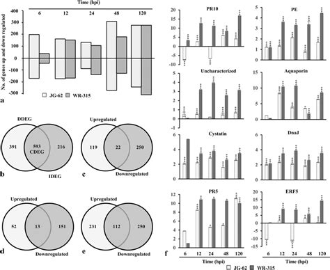 Gene Expression Pattern Of Degs And Qrt Pcr Analysis A Regulation Of