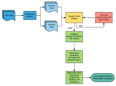 rna sequence analysis bioinformatics workbook