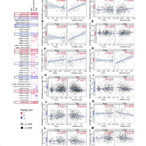 Correlation Analysis Between 4ebp1 Expression And Immune Infiltration