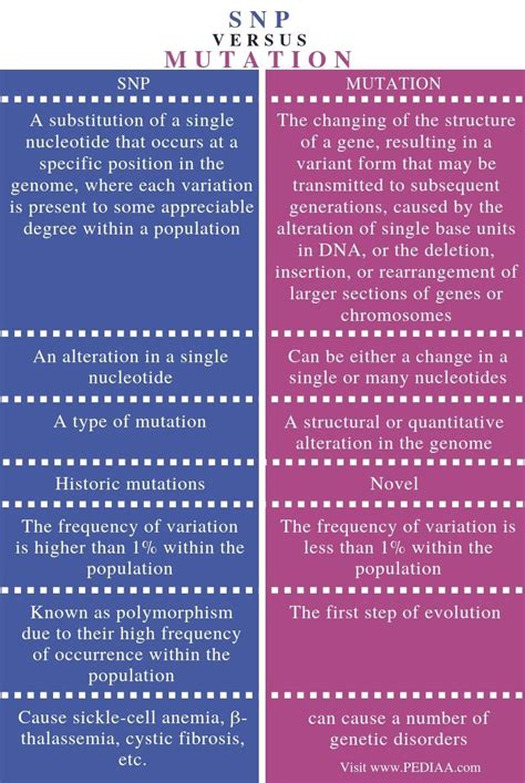 Difference Between Point Mutation And Frameshift Mutation Definition