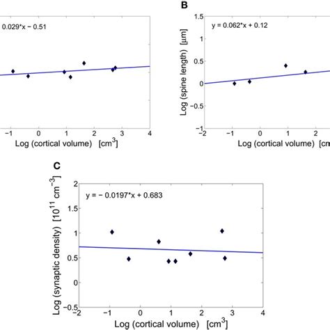 Scaling Of Synaptic Characteristics With Cortical Volume A
