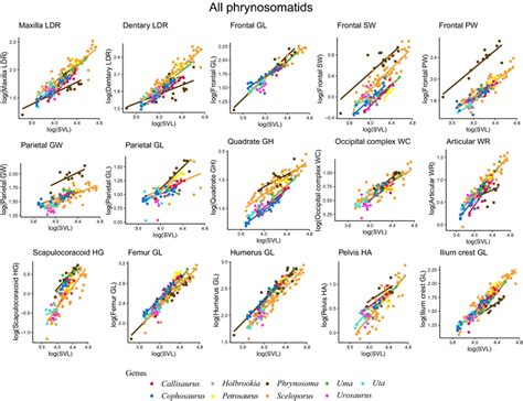Allometric Relationships In The Traditional Sense Among Different