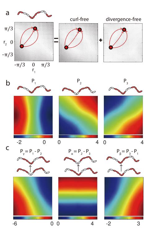 Illustration Of A Contact Pattern Optimization A The Vector Field
