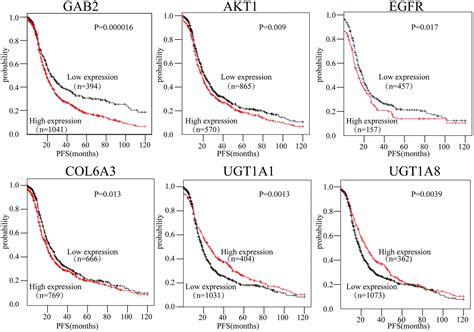 Genome Wide Dna Copy Number Profiling And Bioinformatics Analysis Of