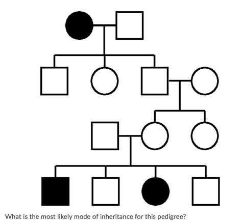[solved] What Is The Most Likely Mode Of Inheritance For This Pedigree