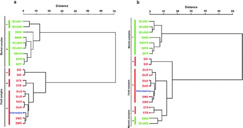 Dendrograms Obtained By Hierarchical Cluster Analysis Of The