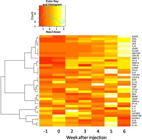 Hierarchical Cluster Analysis Of The 38 Human Proteins Detected In