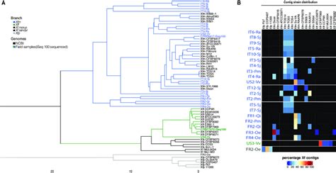 Metagenomics Analyses Of Field Sample Identifies Of Bacterial