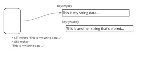 redis data types the basics laptrinhx news
