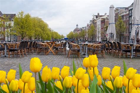 Amsterdam Cityscape Tulips Foreground Outside Cafe Background Holland
