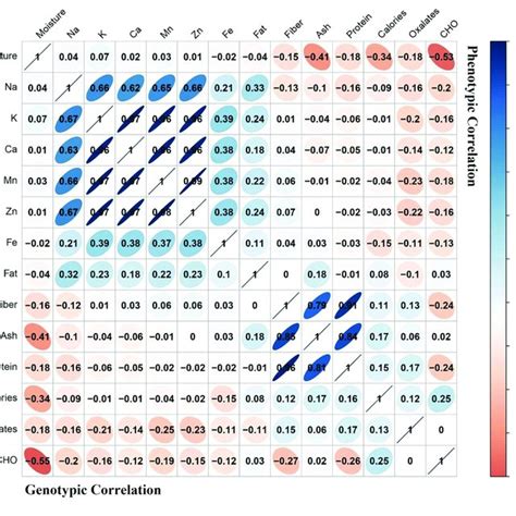 Heat Map Indicating Phenotypic And Genotypic Correlations Of