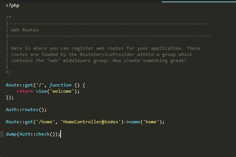 laravel why using auth id in route file web php returns null