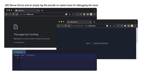 common laravel installation issues 500 server error code with susan