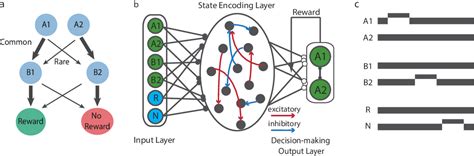 Figure 3 From A Neural Network Framework For The Orbitofrontal Cortex