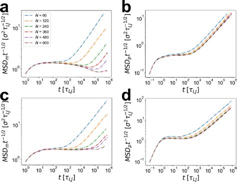 Mean Squared Displacement Msd Of Central Five Monomers Of Each Pe