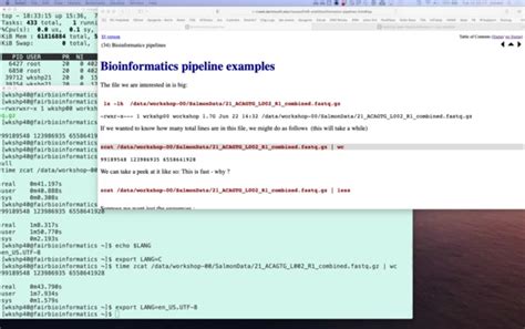 using unix pipes and commands to process raw fastq files