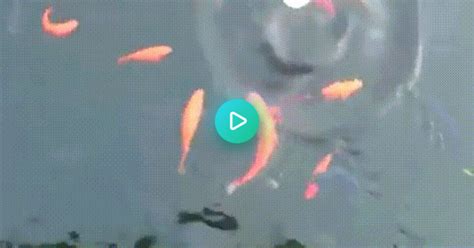 When Life Throws A Curveball Album On Imgur