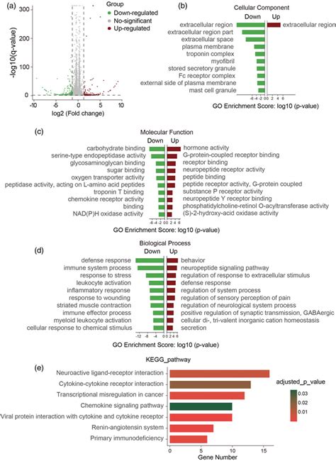 Functional Analyses Of Degs By Gene Ontology And Kegg Classifications
