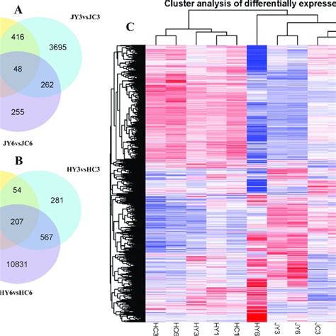 Venn Diagram Of The Differentially Expressed Genes Degs And