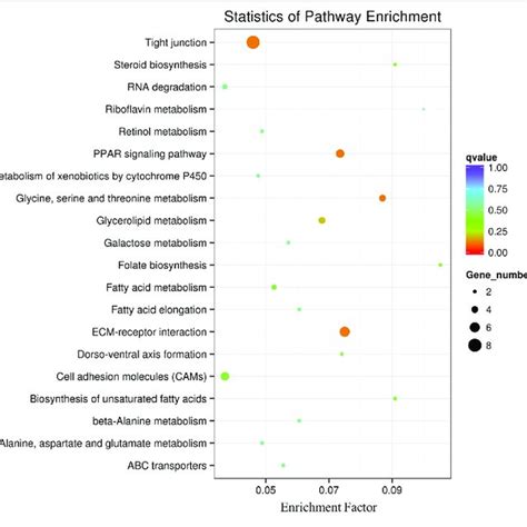 Pathway Classification Based On Kegg Enrichment Analysis Of