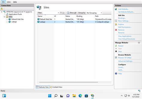 setting up the local iis server powerserver 2022 help