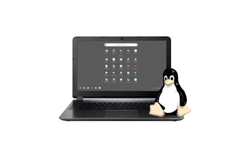 How To Install Linux Apps On Chromebook Biztechpost