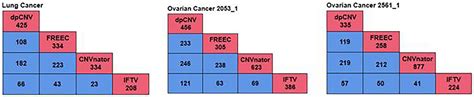 Frontiers A Density Peak Based Method To Detect Copy Number