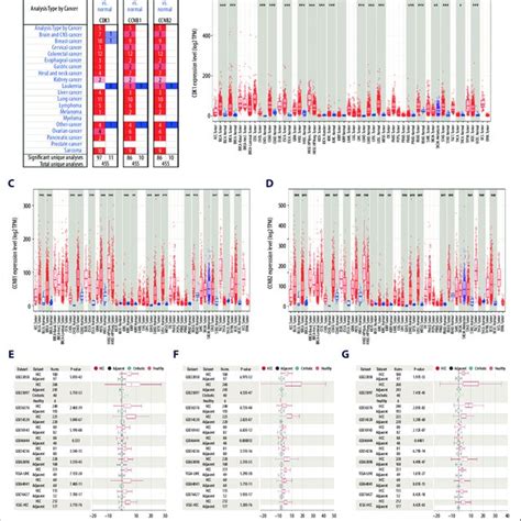 A Expression Levels Of Cdk1 Ccnb1 And Ccnb2 For Different Types Of
