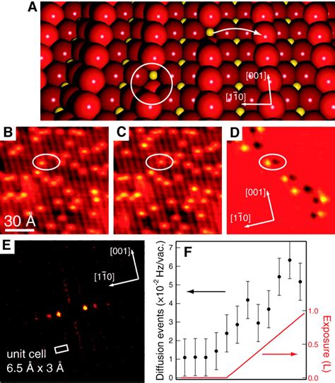 Oxygen Mediated Diffusion Of Oxygen Vacancies On The Tio2 110 Surface