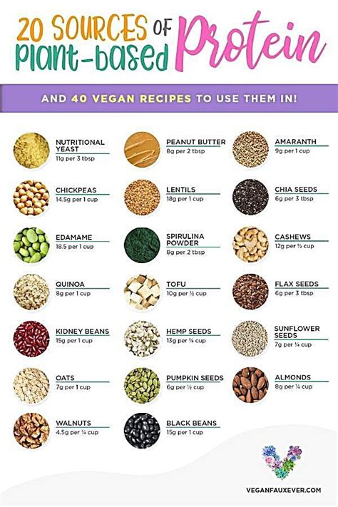 25 Best Vegan Protein Sources For Plant Based Diets Vegan Protein