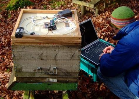 raspberry pi bee monitor system created by glyn hudson