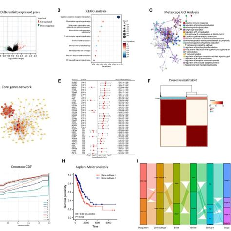 Identification Of Immune Activation Related Gene Subtypes Based On