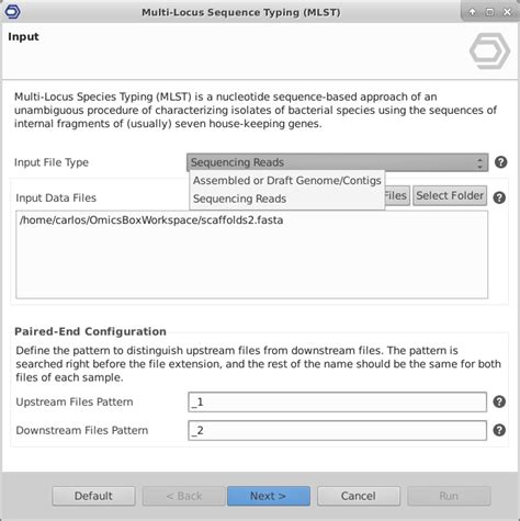 multilocus sequence typing mlst analysis tool biobam
