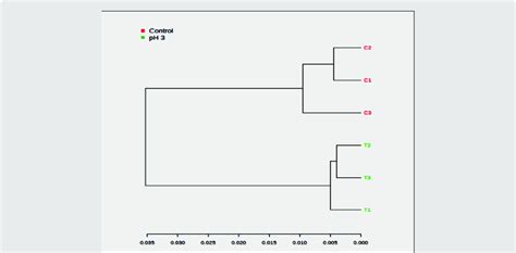 Dendrogram Of The Hierarchical Cluster Analysis Hca Obtained From