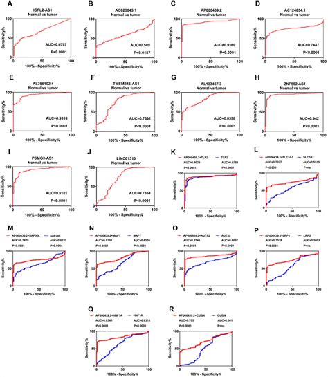 A Cluster Of Long Non Coding Rnas Exhibit Diagnostic And Prognostic